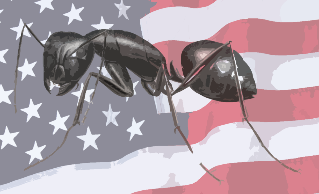 The American Ant Colony – RANDY ELROD